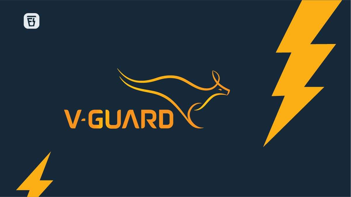 How V Guard Stabilized India